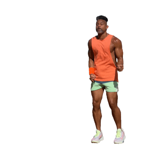 My Current Workout Programs – Nitrice Healthy Fit